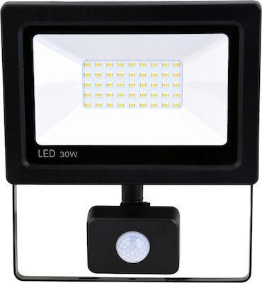 LED ΠΡΟΒΟΛΕΑΣ 30W ΜΕ ΑΙΣΘΗΤΗΡΑ ΚΙΝΗΣΗΣ TY-01145